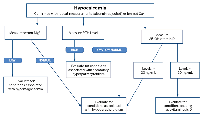 Figure 1. Algorithm for Differential Diagnosis of Hypocalcemia